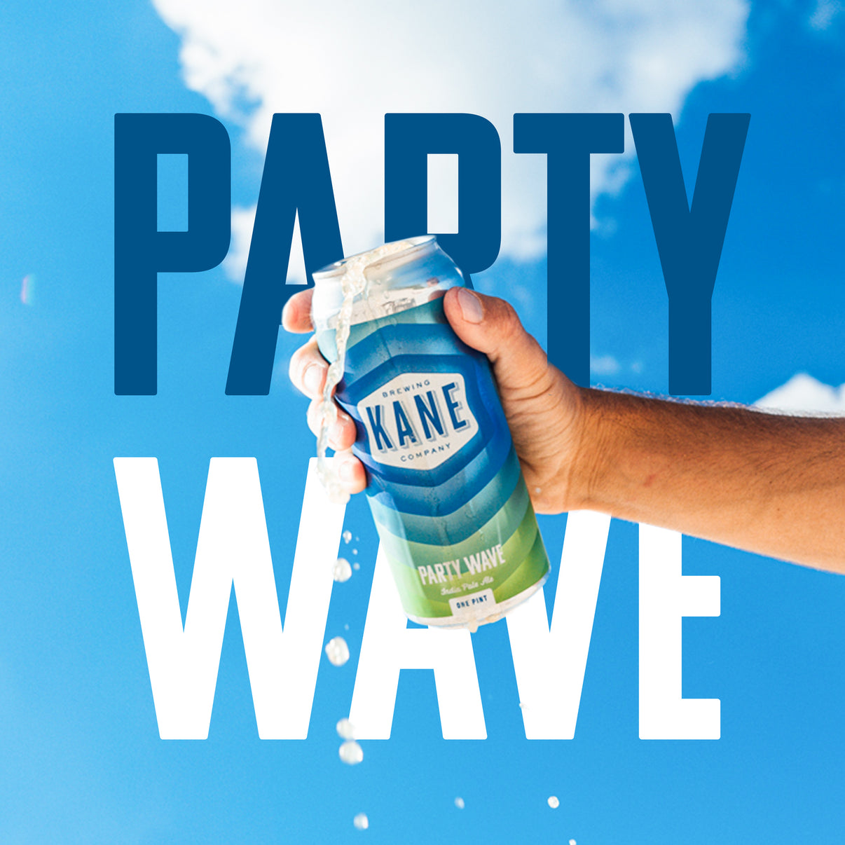 Party Wave – Kane Brewing Company